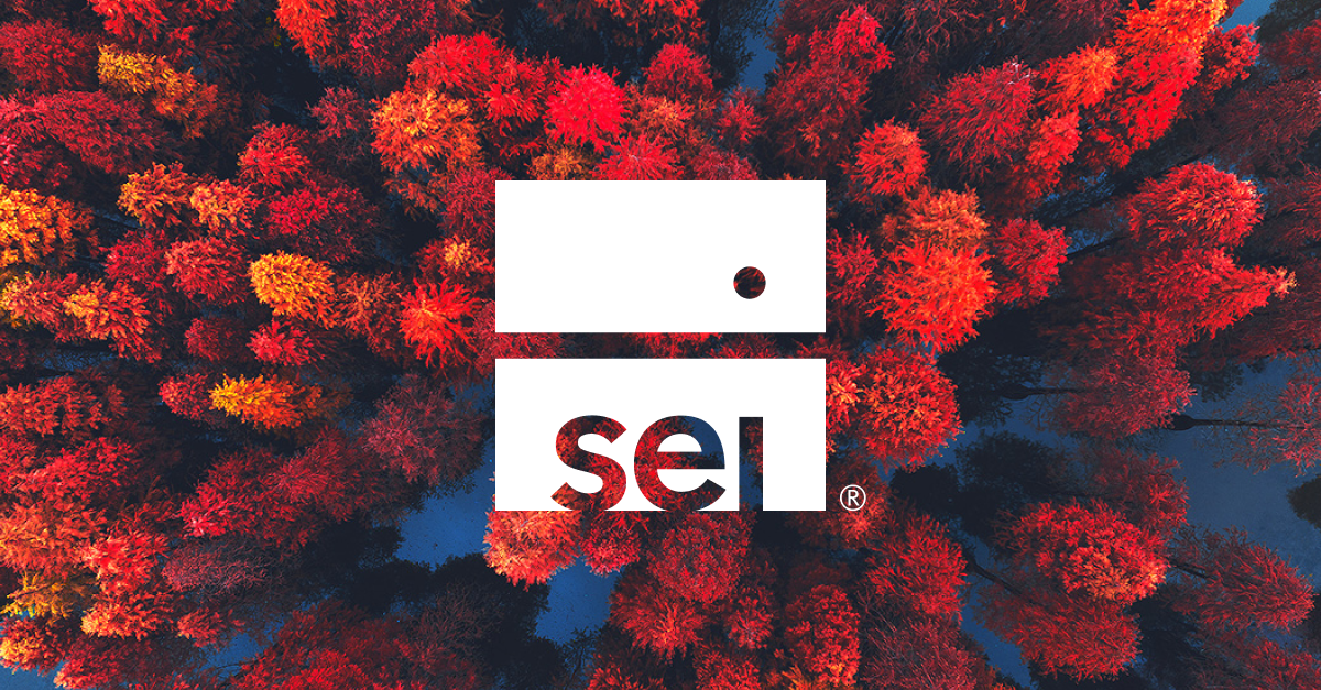 SEI Launches SEI Strategies with Capital Group | SEI