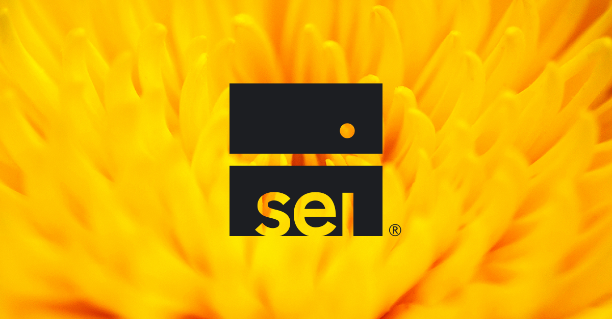 SEI Data Cloud | SEI U.S.