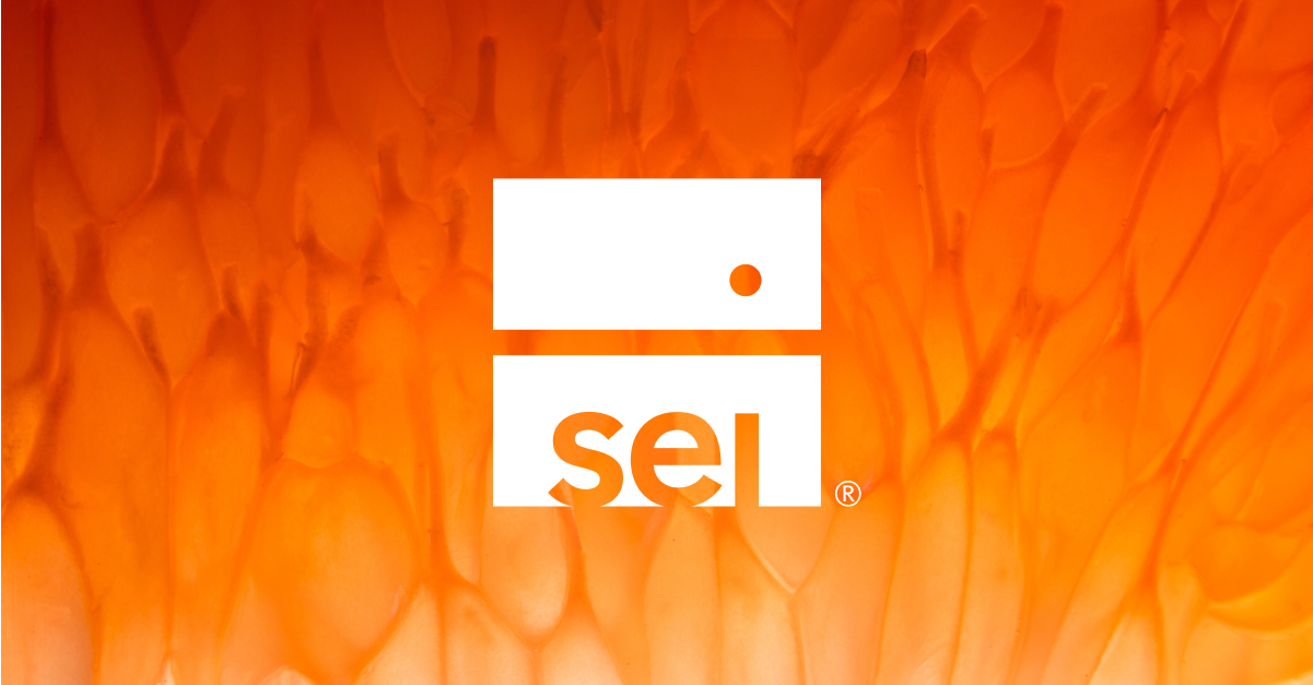 Q&A: 3 things you should know about unitization | SEI U.S.