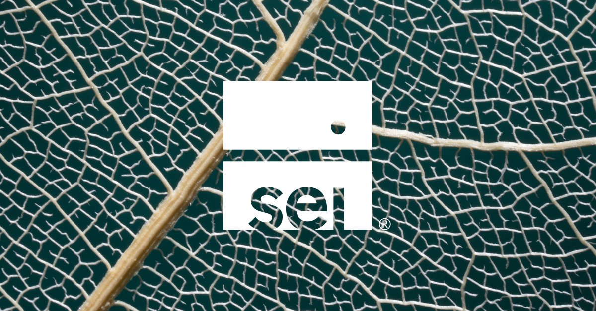 SEI Canada apporte des modifications à certains de ses fonds | SEI ...